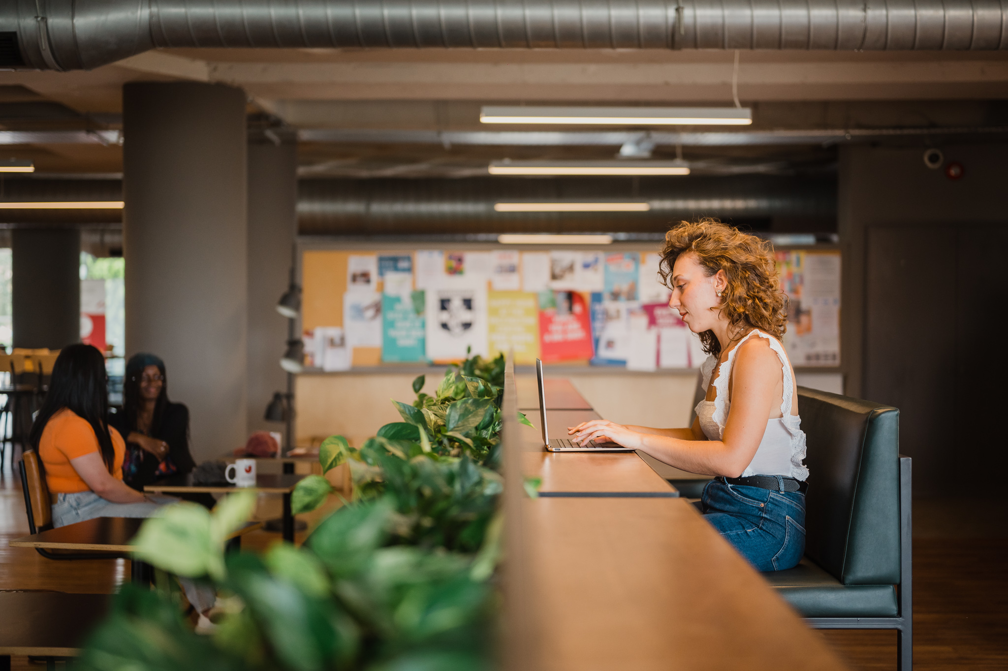 Apply Now - Intercollege